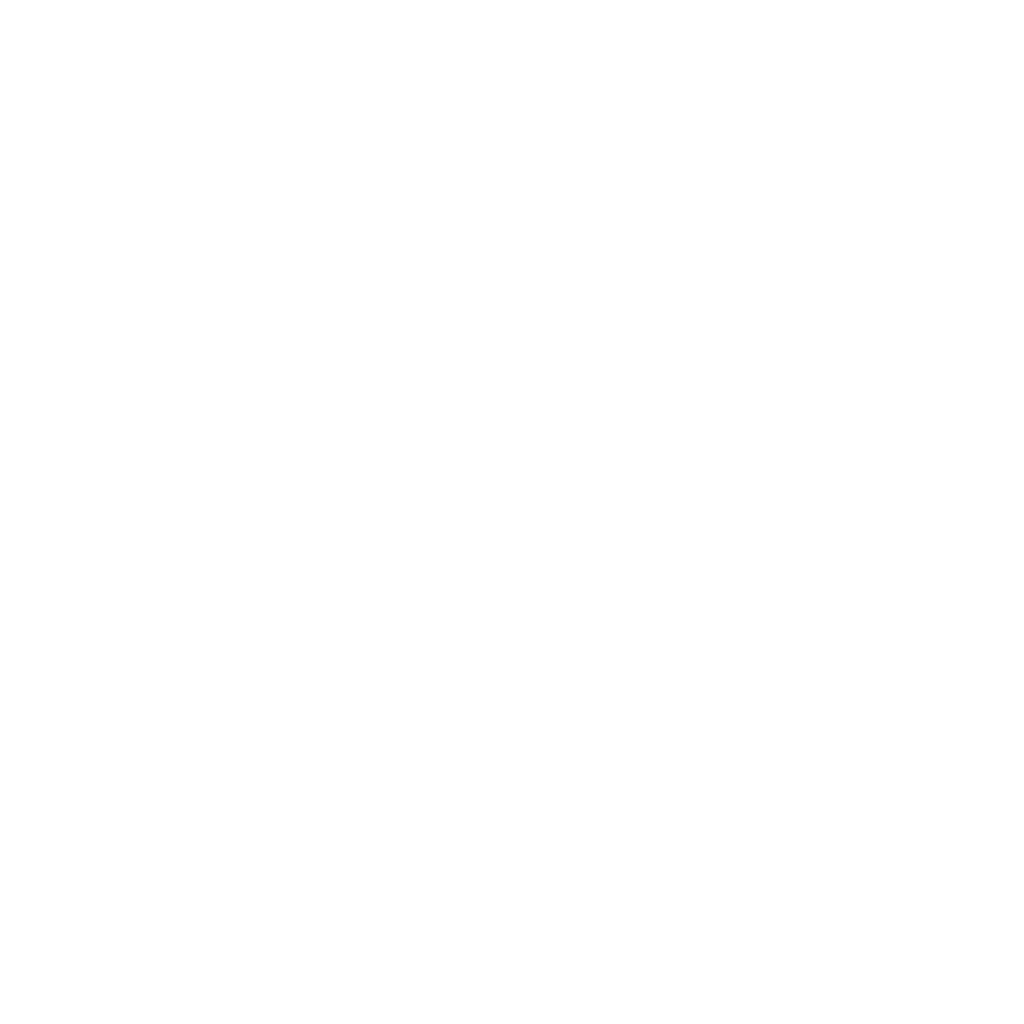 Nabil G. Rizk – Est. Since 1965