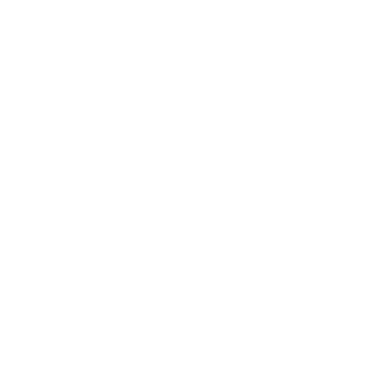 Nabil G. Rizk – Est. Since 1965