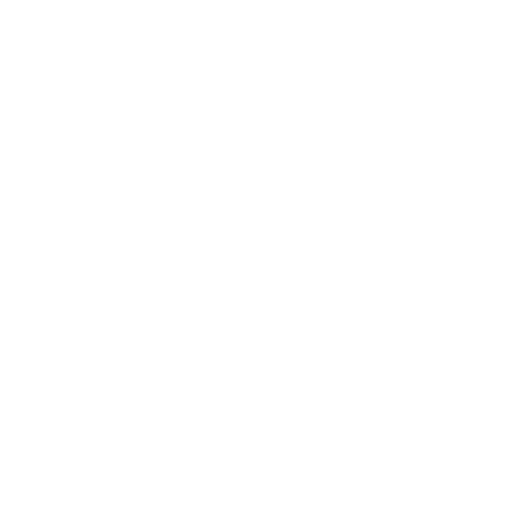 Nabil G. Rizk – Est. Since 1965