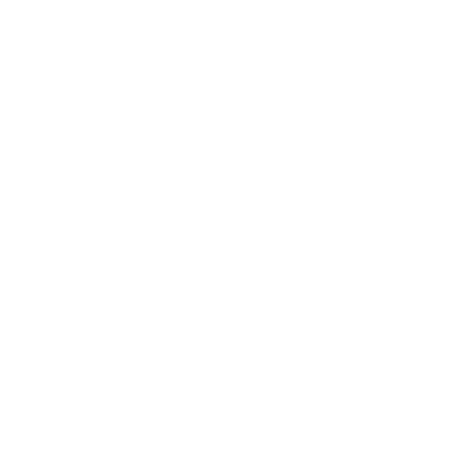 Nabil G. Rizk – Est. Since 1965