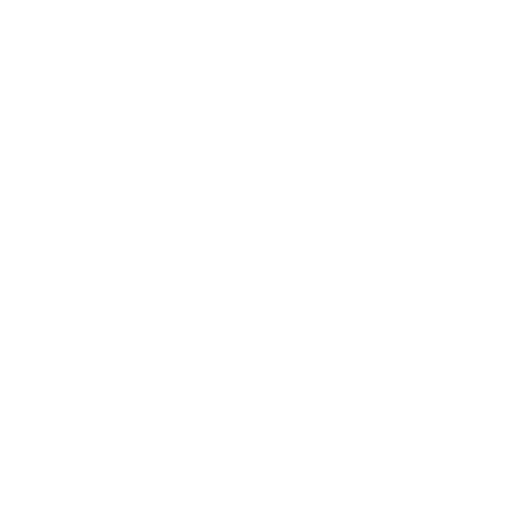 Nabil G. Rizk – Est. Since 1965